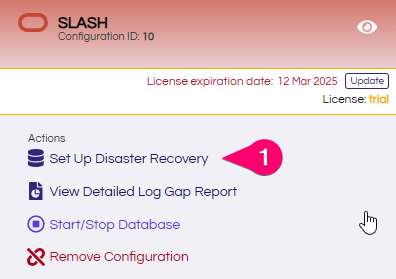 Create Standby Database (CSD) – Dbvisit Support