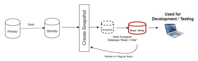Dbvisit Standby Snapshot Option – Dbvisit Support