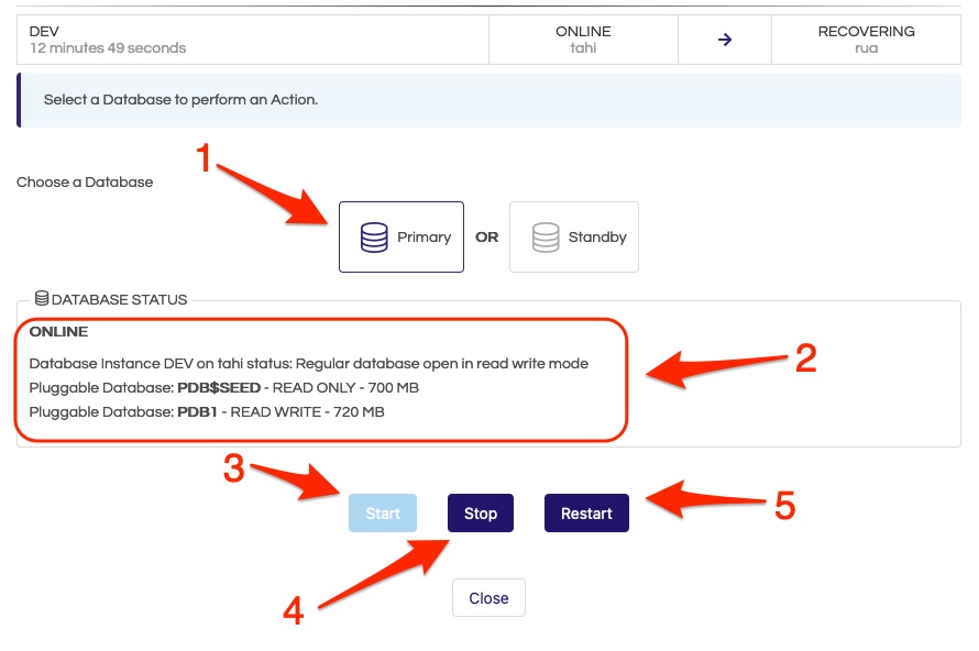 Miscellaneous Oracle Functions – Dbvisit Support