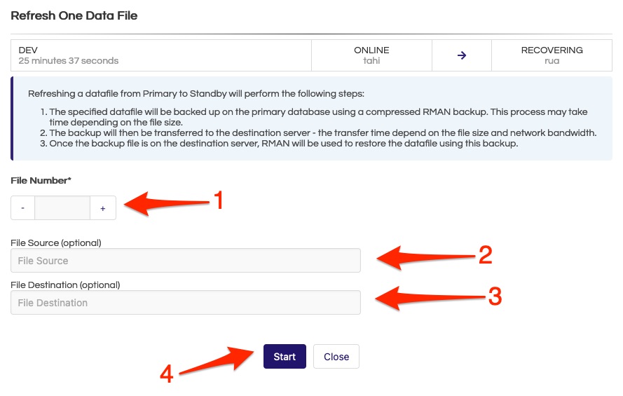 Miscellaneous Oracle Functions – Dbvisit Support