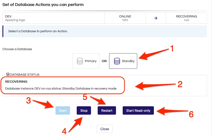 Miscellaneous Oracle Functions – Dbvisit Support